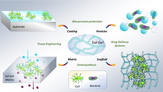 Gels | Free Full-Text | The Role of the Sol-Gel Synthesis Process in ...