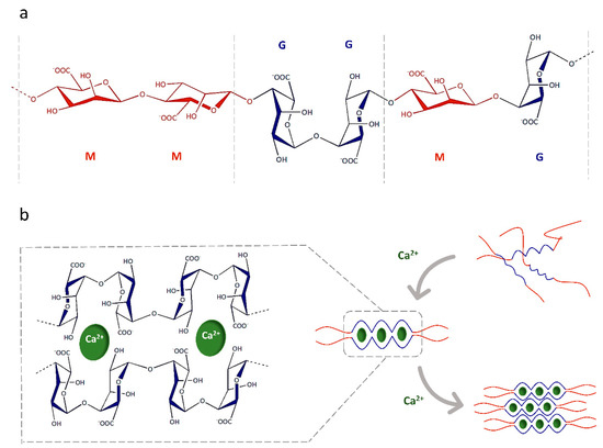 Alginate-Based Composites for Corneal Regeneration: The Optimization of ...