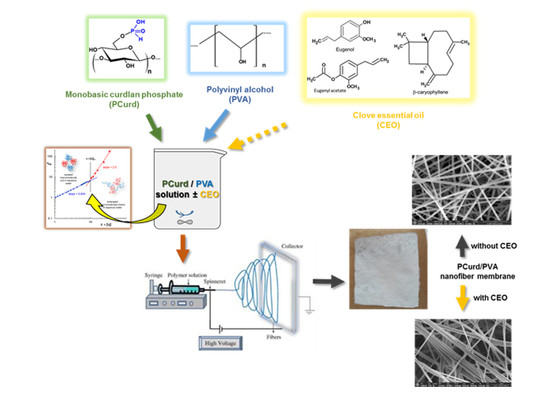 Gels | Free Full-Text | Phosphorylated Curdlan Gel/Polyvinyl Alcohol ...