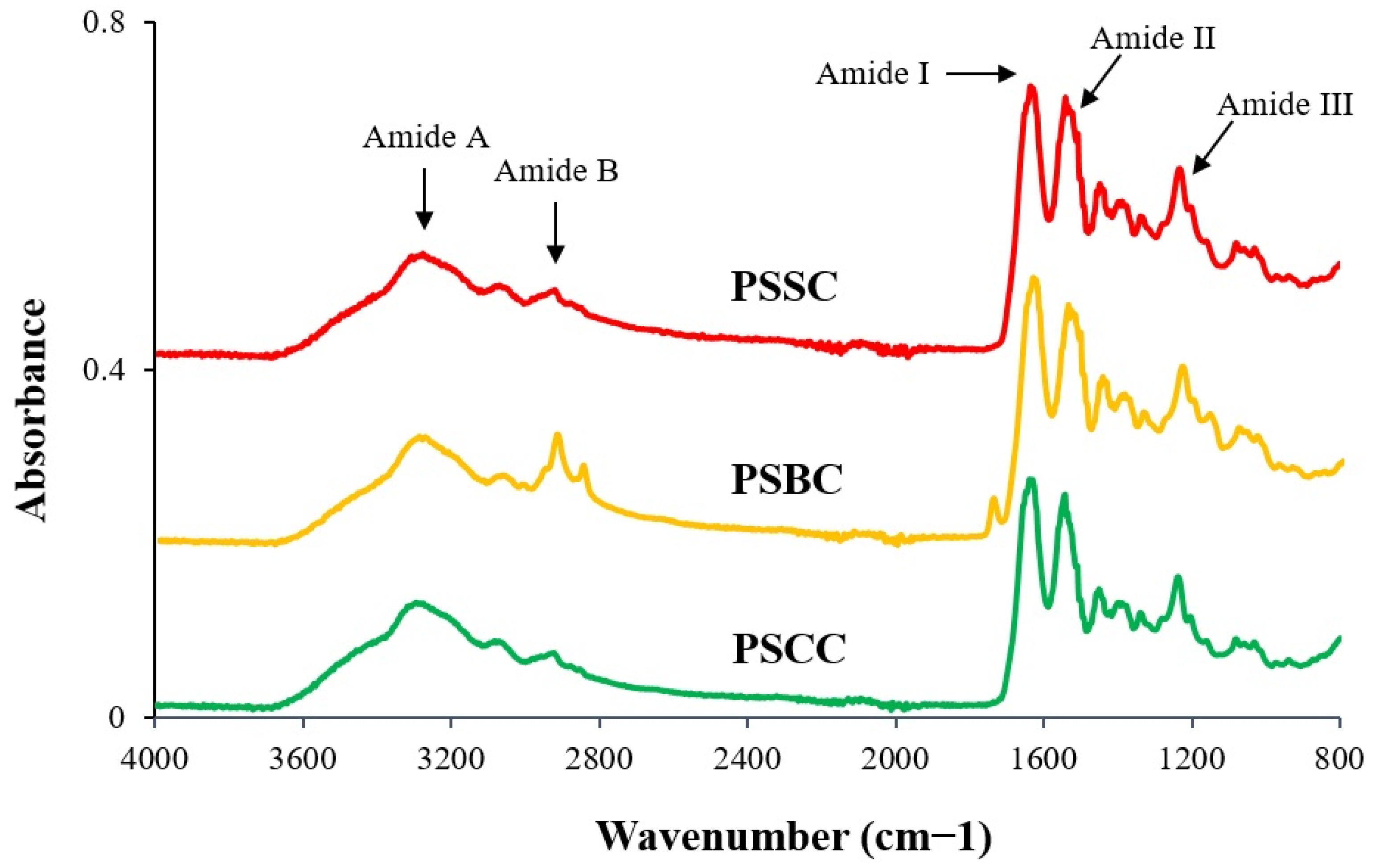 Physicochemical and Microstructural Analyses of Pepsin-Soluble ...