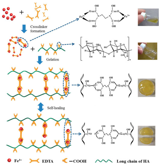 MDPI - Publisher of Open Access Journals