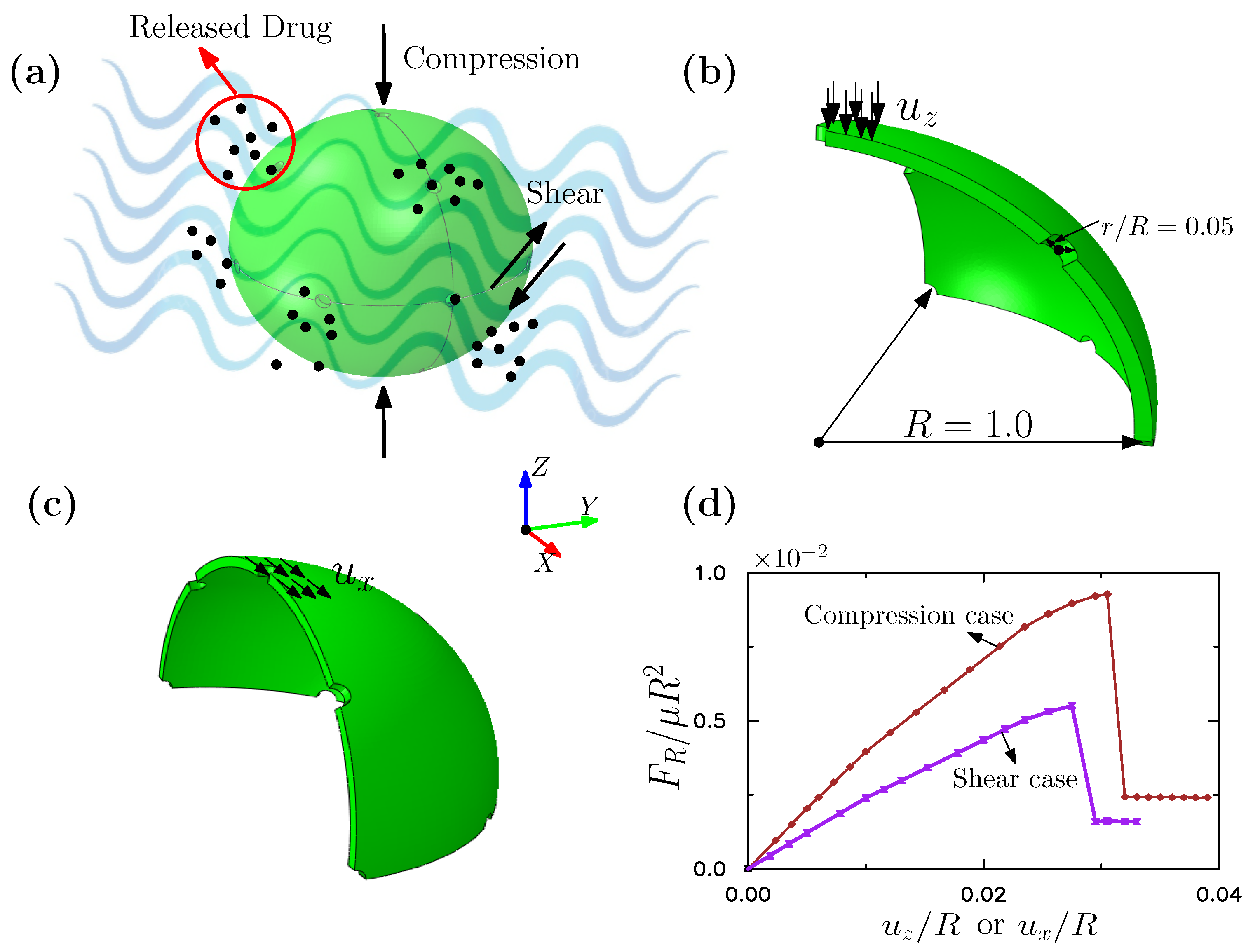 Modeling Tunable Fracture in Hydrogel Shell Structures for Biomedical ...