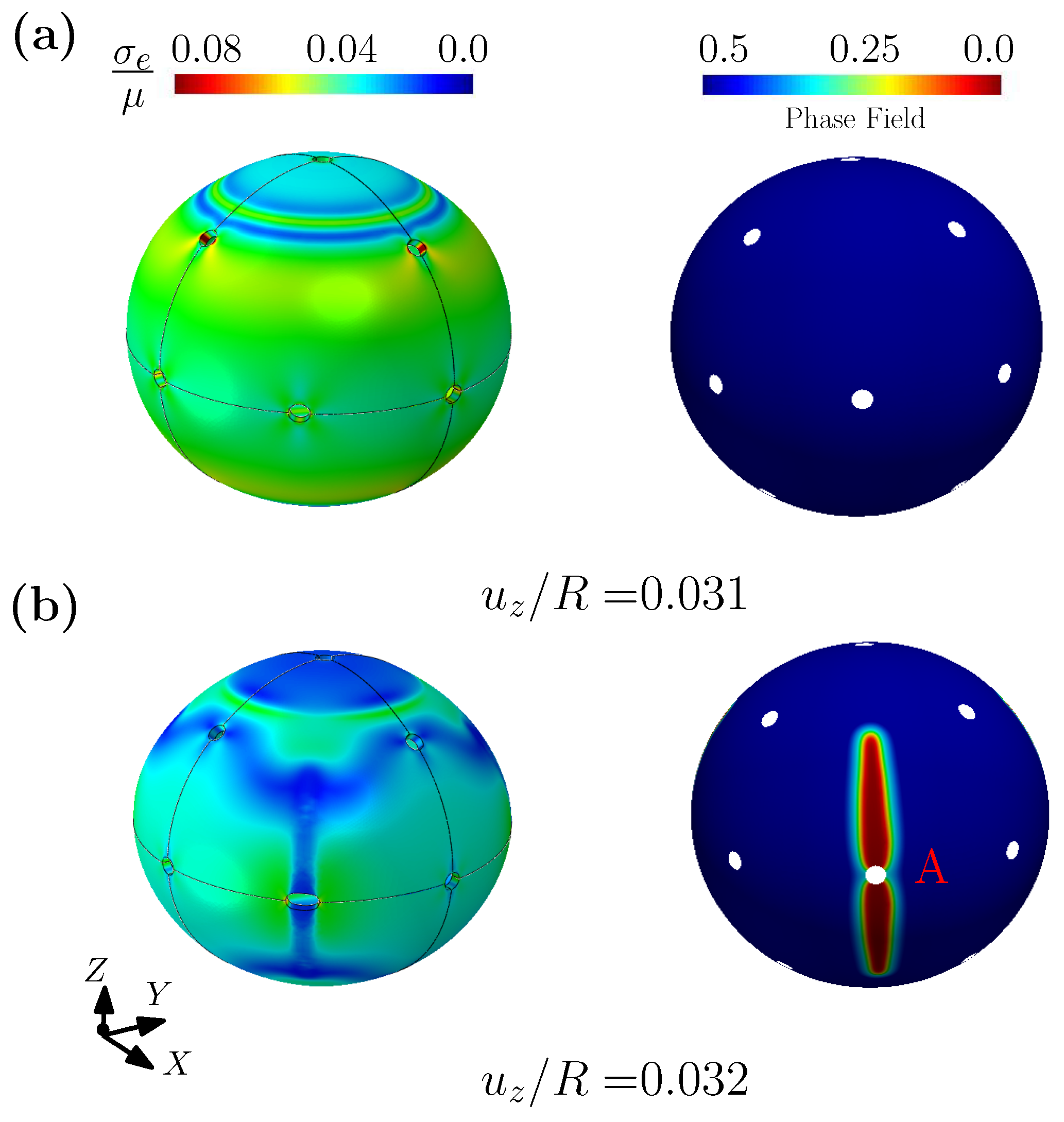 Modeling Tunable Fracture in Hydrogel Shell Structures for Biomedical ...