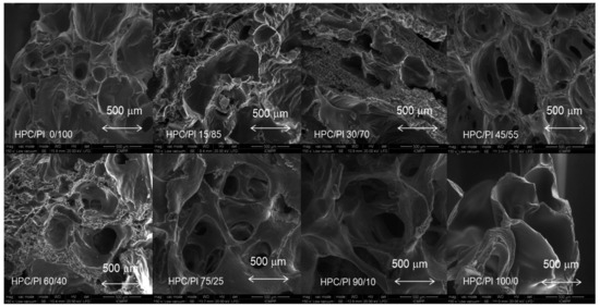 Hydroxypropyl Cellulose/Pluronic-Based Composite Hydrogels as ...