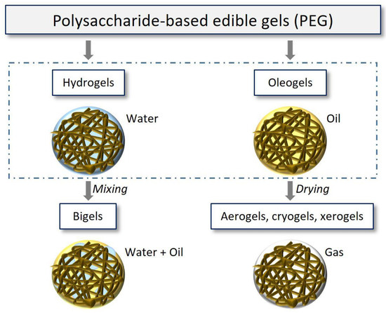 Polysaccharide-Based Edible Gels as Functional Ingredients ...