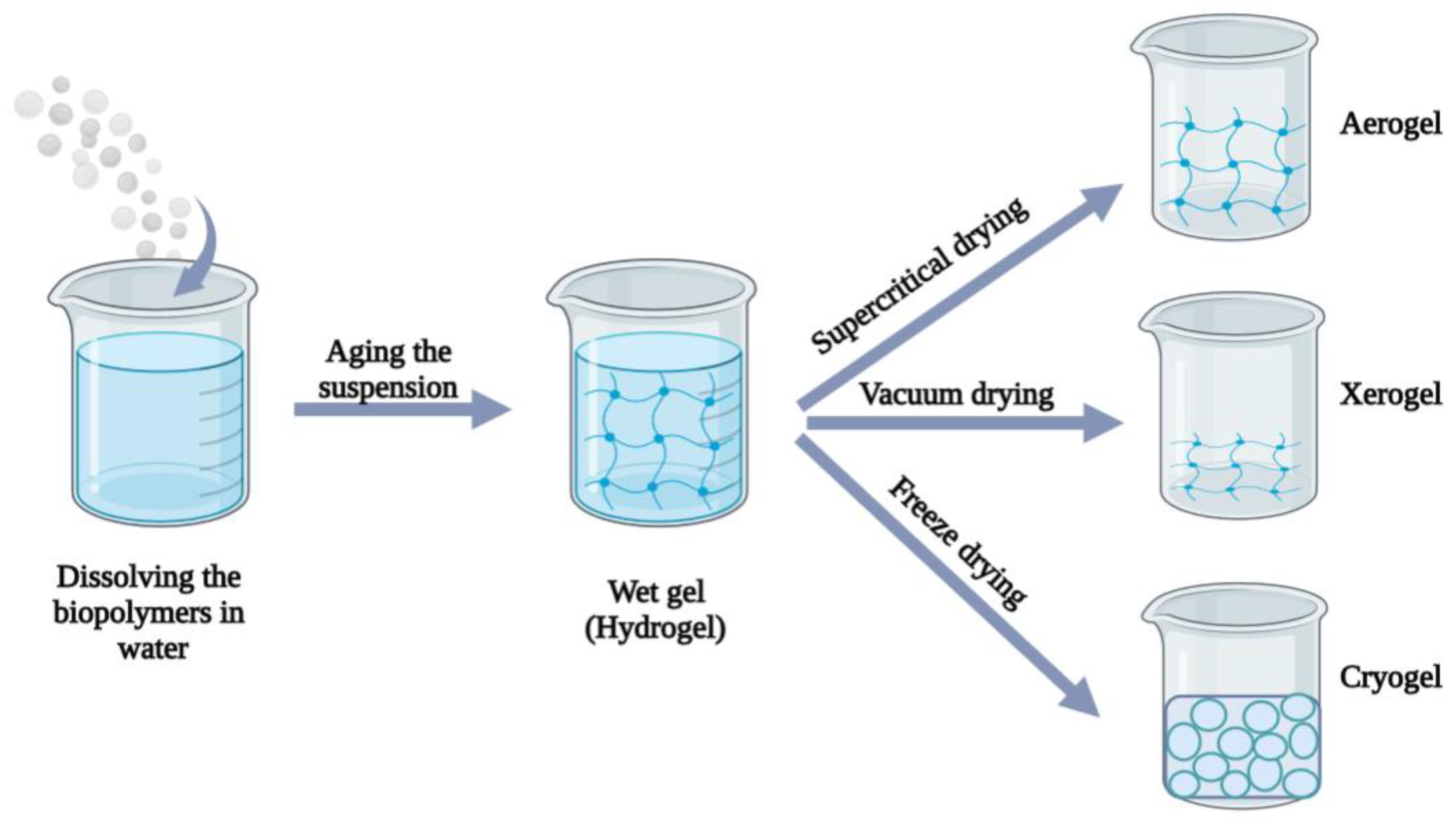 Polysaccharide-Based Edible Gels as Functional Ingredients ...