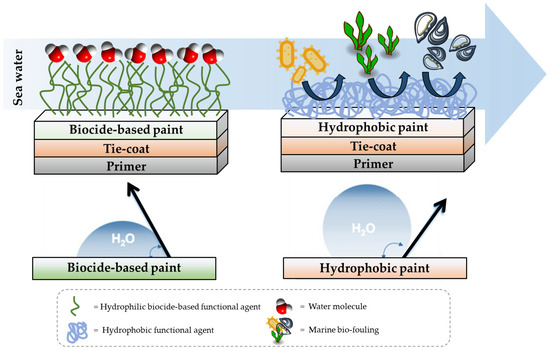 Development of Eco-Friendly Hydrophobic and Fouling-Release Coatings ...