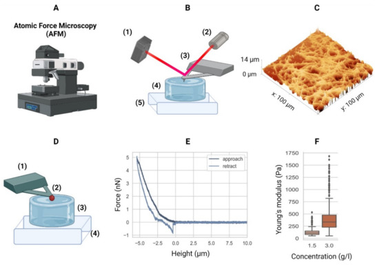 A Beginner’s Guide to the Characterization of Hydrogel ...