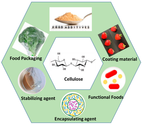 Cost-Effective Synthesis of Bacterial Cellulose and Its Applications in ...