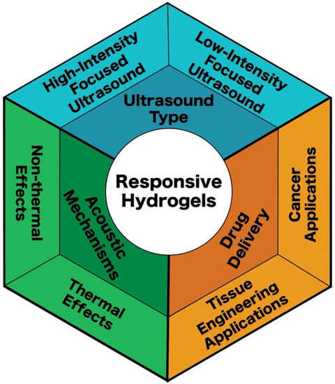 Ultrasound-Induced Drug Release from Stimuli-Responsive Hydrogels