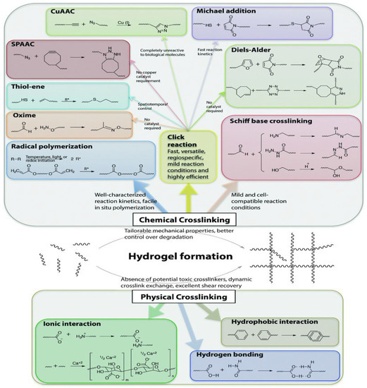 A Comprehensive Review of Cross-Linked Gels as Vehicles for Drug ...