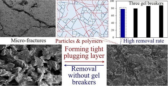 Gels | Free Full-Text | Formation-Damage Mechanism and Gel-Breaker-Free ...