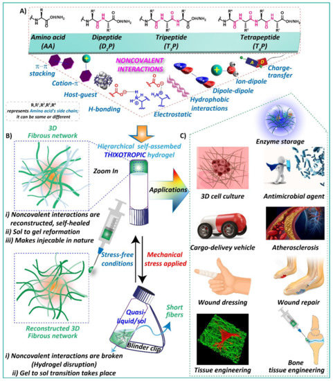 Short Peptide-Based Smart Thixotropic Hydrogels