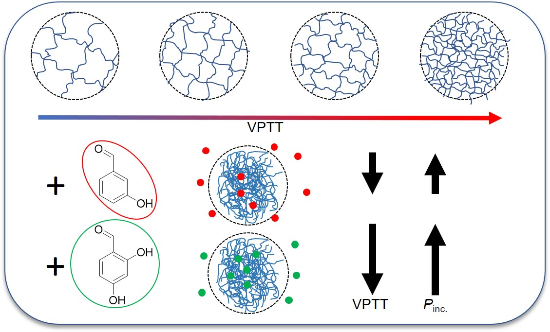 Gels | Free Full-Text | Interplay of the Influence of Crosslinker Content and Model Drugs on the ...