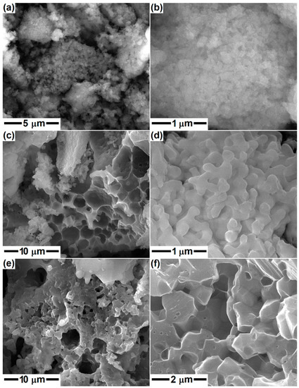 Processing of Calcium Magnesium Silicates by the Sol–Gel Route
