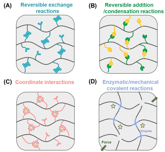 Dynamic Covalent Hydrogels: Strong yet Dynamic