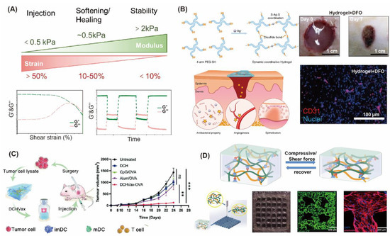 Dynamic Covalent Hydrogels: Strong yet Dynamic