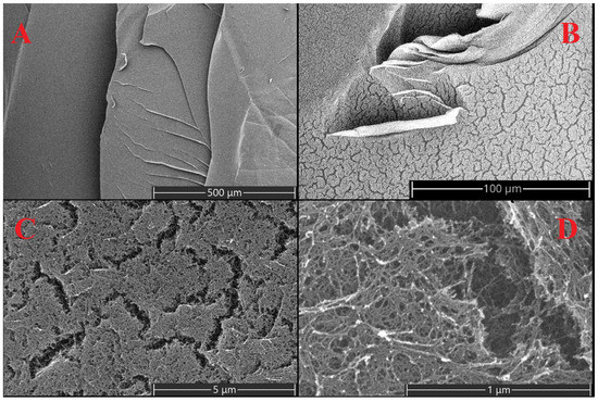 Features of Luminescent Properties of Alginate Aerogels with Rare Earth ...