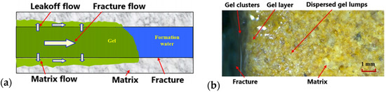 Polymer Gels Used in Oil–Gas Drilling and Production Engineering