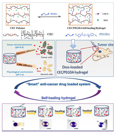 Insights into the Role of Natural Polysaccharide-Based Hydrogel Wound Dressings in Biomedical ...