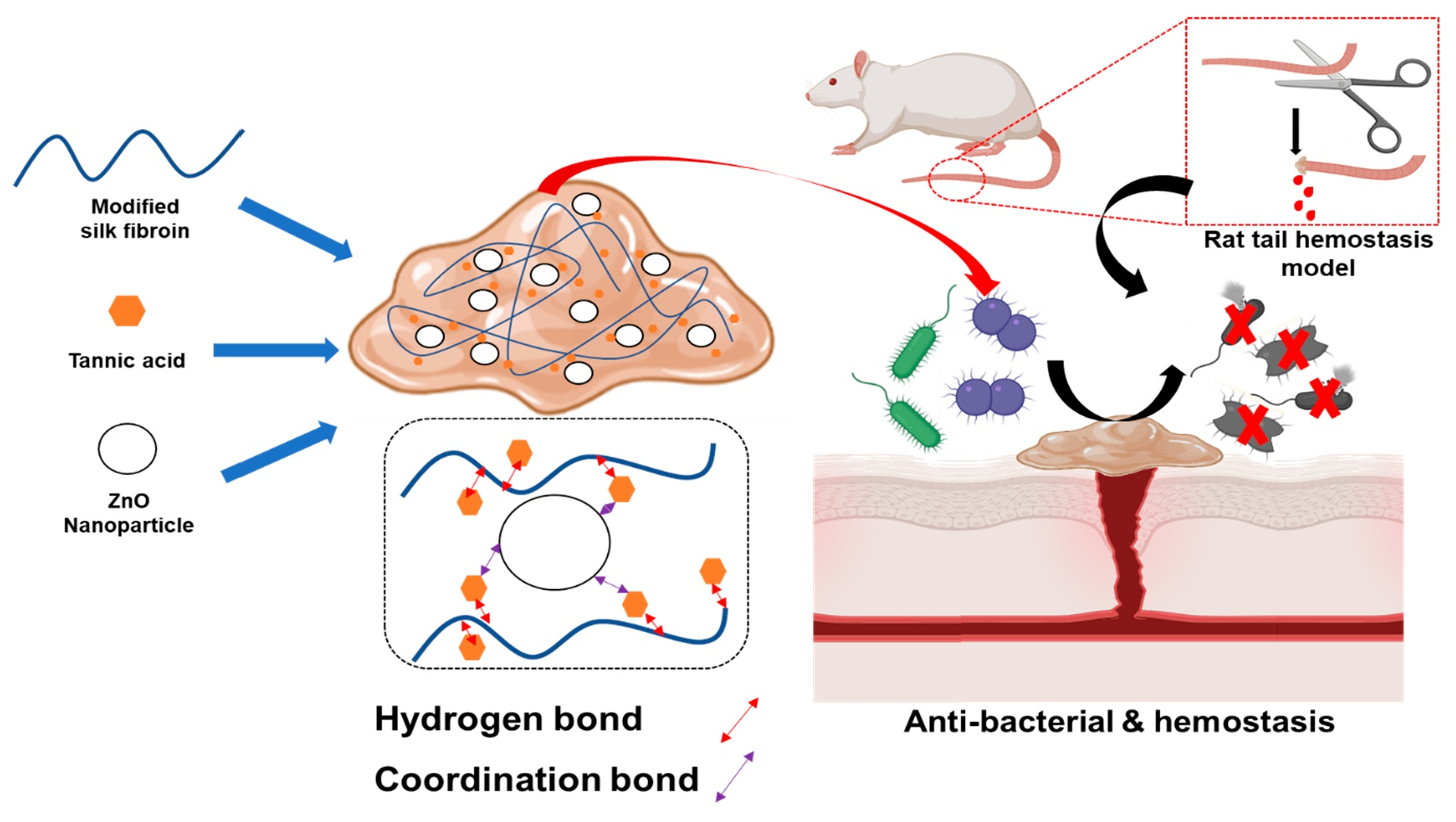 Gels | Free Full-Text | Silk Fibroin/Tannin/ZnO Nanocomposite Hydrogel ...
