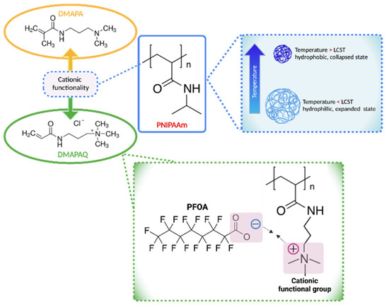 Thermoresponsive Cationic Polymers: PFAS Binding Performance under ...