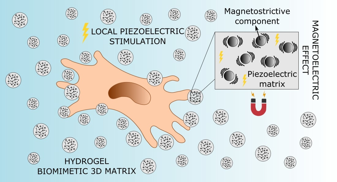 Gels | Free Full-Text | Magnetically Activated Piezoelectric 3D ...