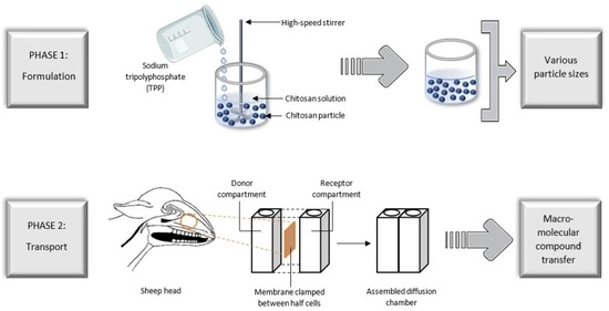 Gels | Free Full-Text | Formulation of Chitosan Microparticles for ...