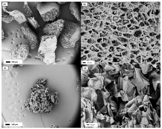 Gels | Free Full-Text | Organic Bio-Based Aerogel from Food Waste ...