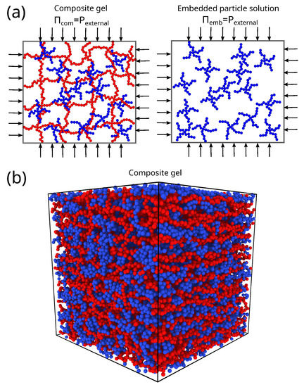 Gels | Free Full-Text | Prestressed Composite Polymer Gels as a Model ...