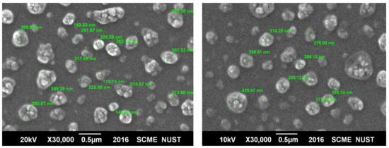 Development and Evaluation of PLGA Nanoparticle-Loaded Organogel for ...