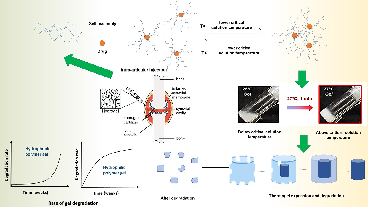 Gels | Free Full-Text | Thermosensitive In Situ Gels for Joint Disorders: Pharmaceutical ...