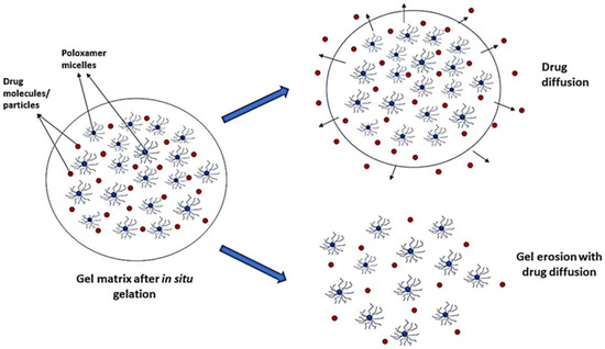 Thermosensitive In Situ Gels for Joint Disorders: Pharmaceutical ...