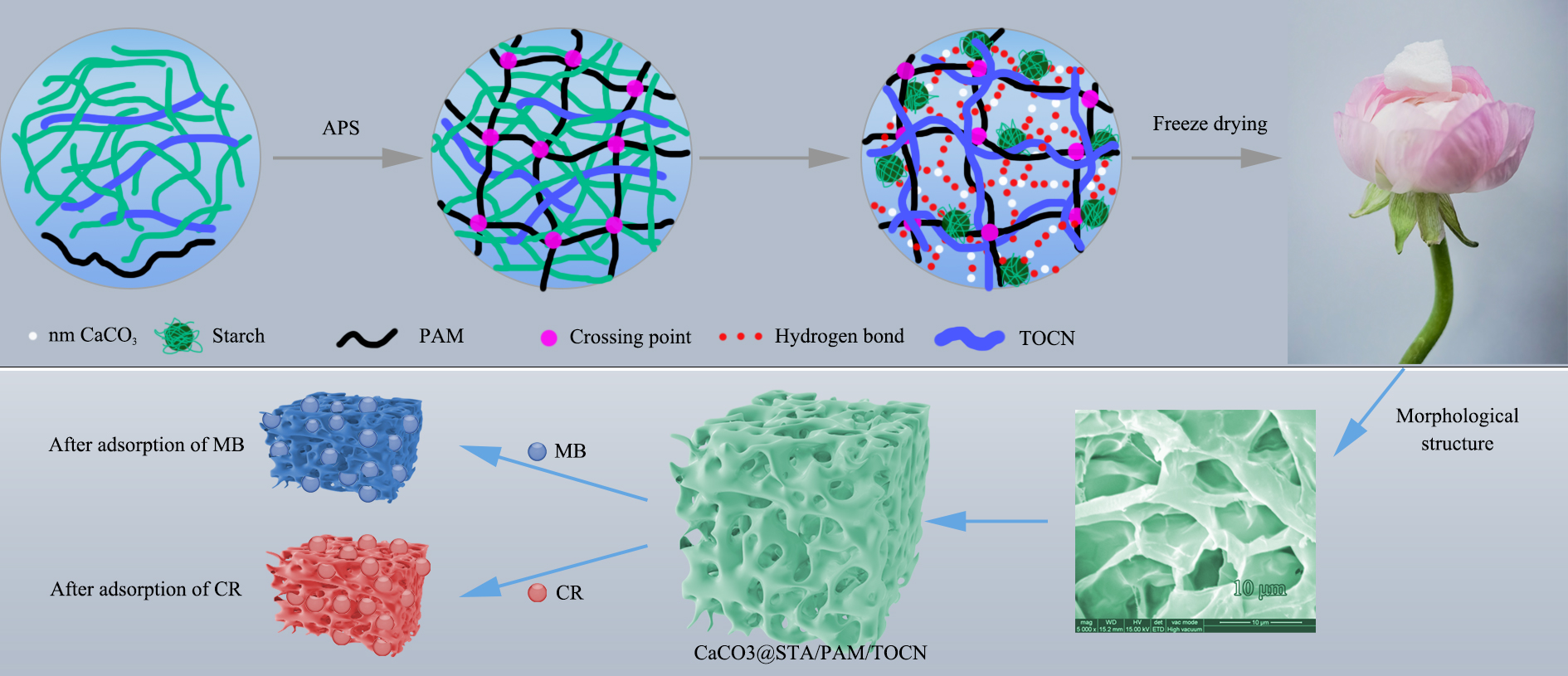 Gels | Free Full-Text | Preparation of Bio-Based Aerogel and Its ...