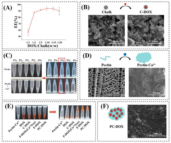Rationally Designed Oral DOX Gels for Colon-Specific Administration