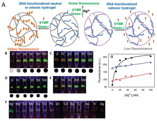Hydrogel-Based Biosensors