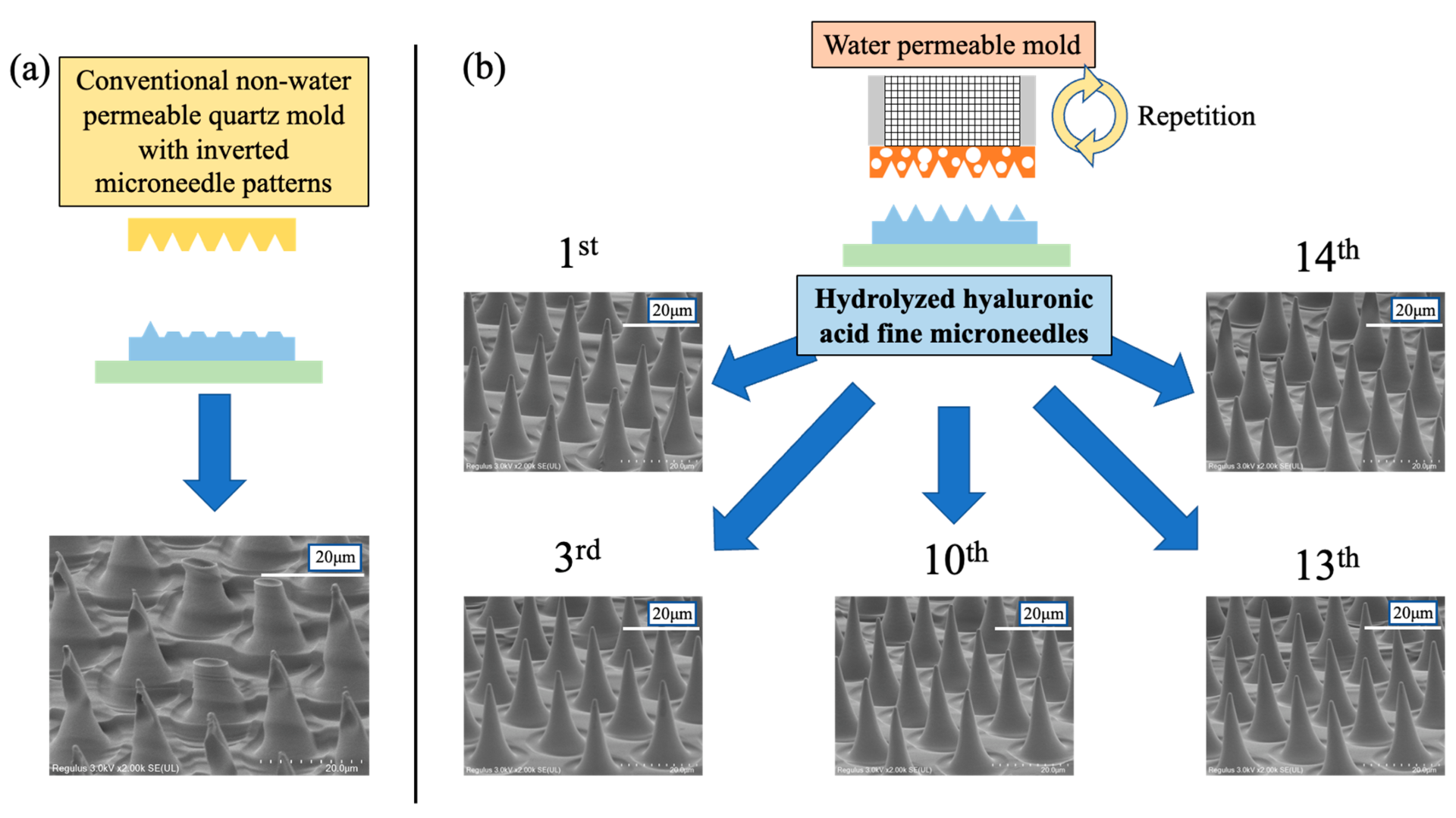 Fabrication of High-Resolution Fine Microneedles Derived from ...