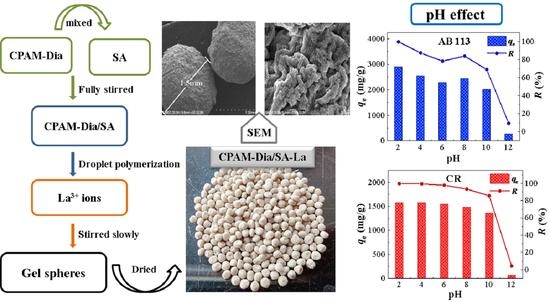 Gels | Free Full-Text | Preparation and Superstrong Adsorption of a ...