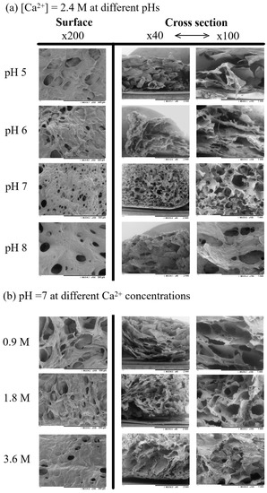 Viscoelastic Analysis of Pectin Hydrogels Regenerated from Citrus ...