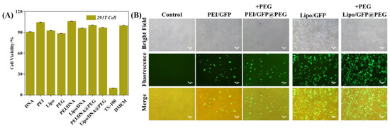 PEG Gels Significantly Improve the Storage Stability of Nucleic Acid ...