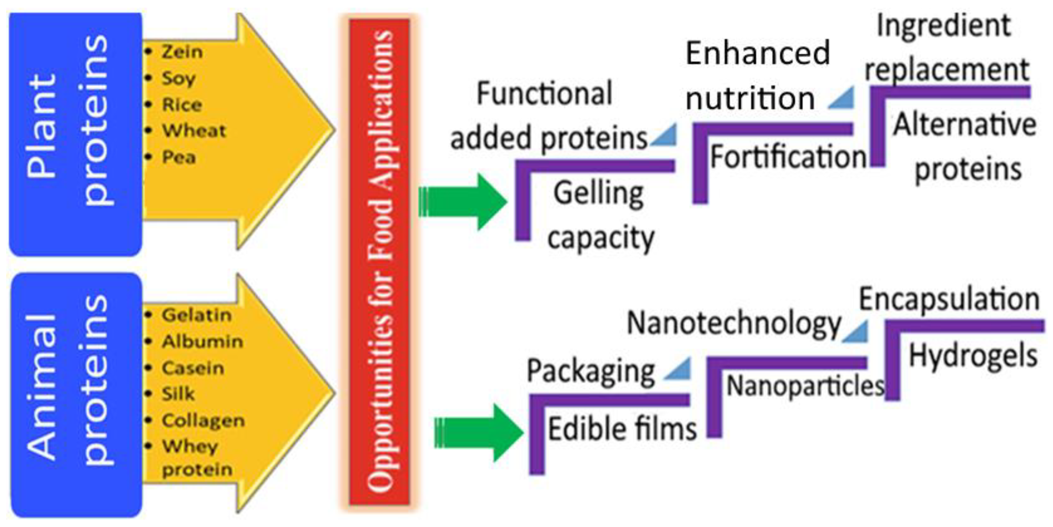 Gels | Free Full-Text | A Comprehensive Review of Food Hydrogels: Principles, Formation ...
