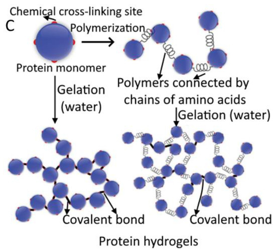 Gels | Free Full-Text | A Comprehensive Review of Food Hydrogels ...