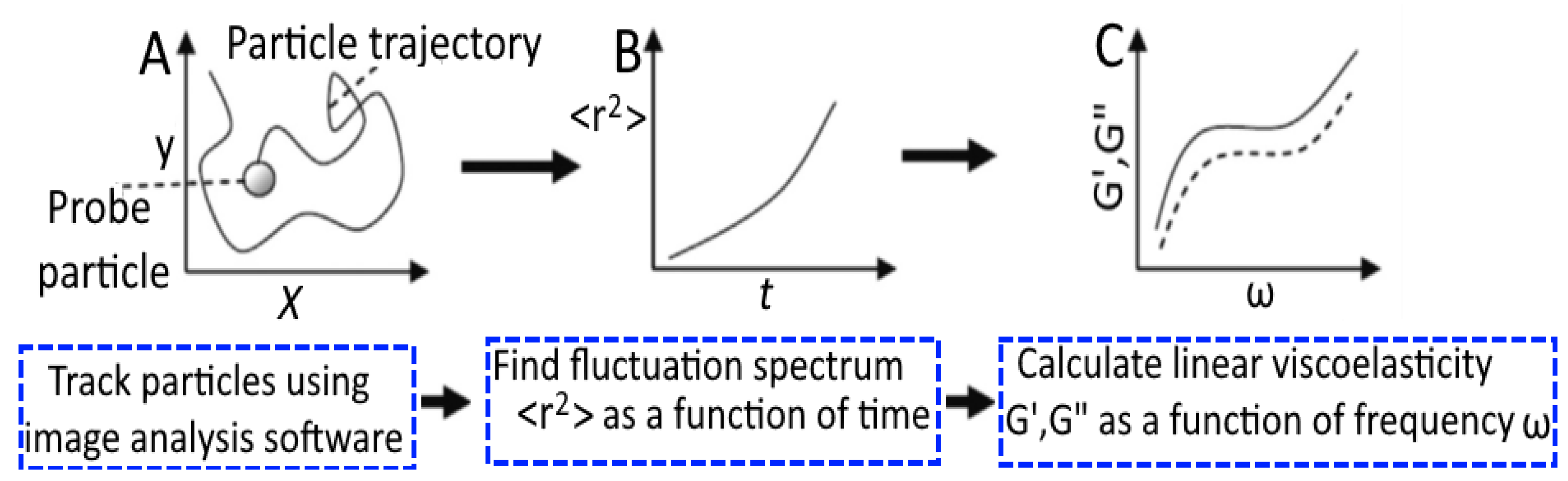 Gels | Free Full-Text | A Comprehensive Review of Food Hydrogels: Principles, Formation ...