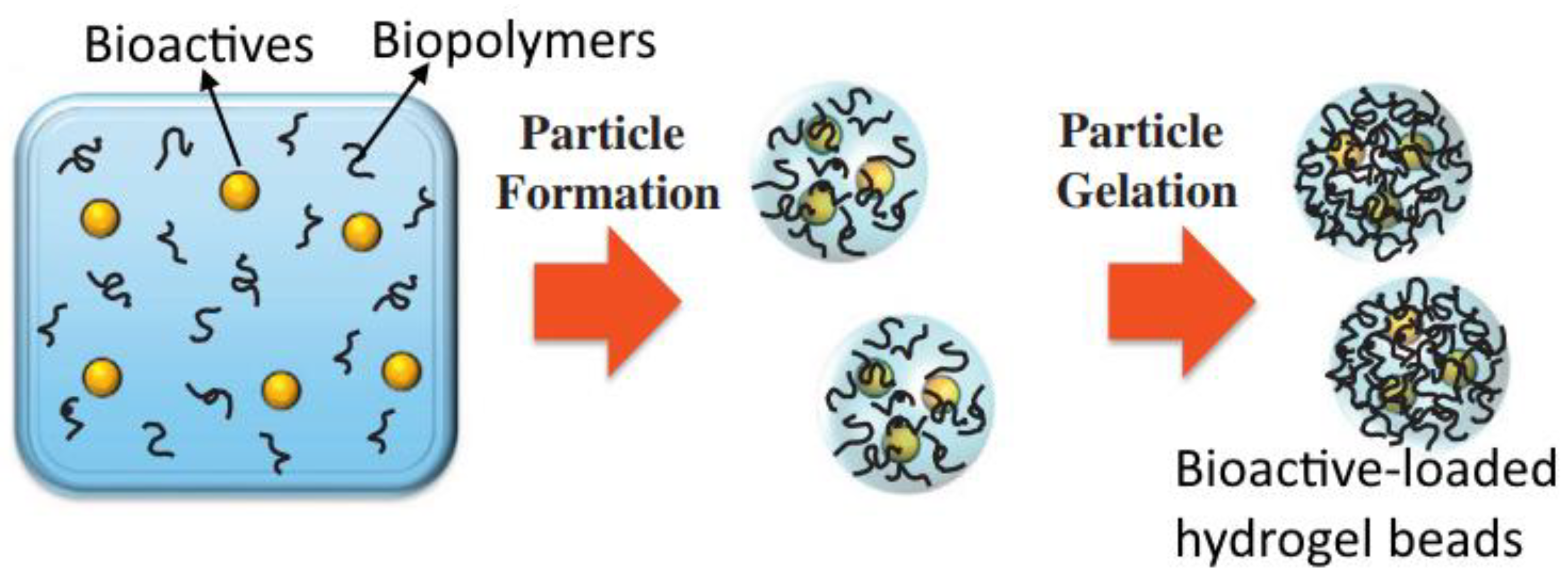 Gels | Free Full-Text | A Comprehensive Review of Food Hydrogels: Principles, Formation ...