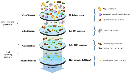 Development of Functional Hybrid Polymers and Gel Materials for ...