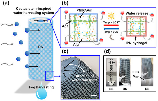 Synthesis of Hydrogels and Their Progress in Environmental Remediation ...