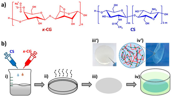 Gels | Free Full-Text | Update on Chitosan-Based Hydrogels: Preparation, Characterization, and ...
