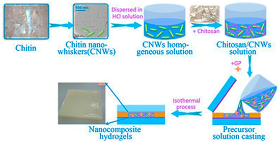 Update on Chitosan-Based Hydrogels: Preparation, Characterization, and Its Antimicrobial and ...