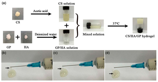 Update on Chitosan-Based Hydrogels: Preparation, Characterization, and Its Antimicrobial and ...