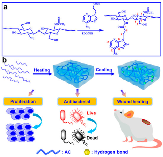 Update on Chitosan-Based Hydrogels: Preparation, Characterization, and Its Antimicrobial and ...